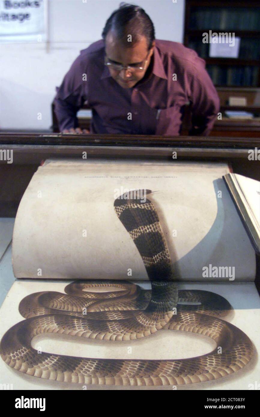 Map of eastern india hi-res stock photography and images - Alamy