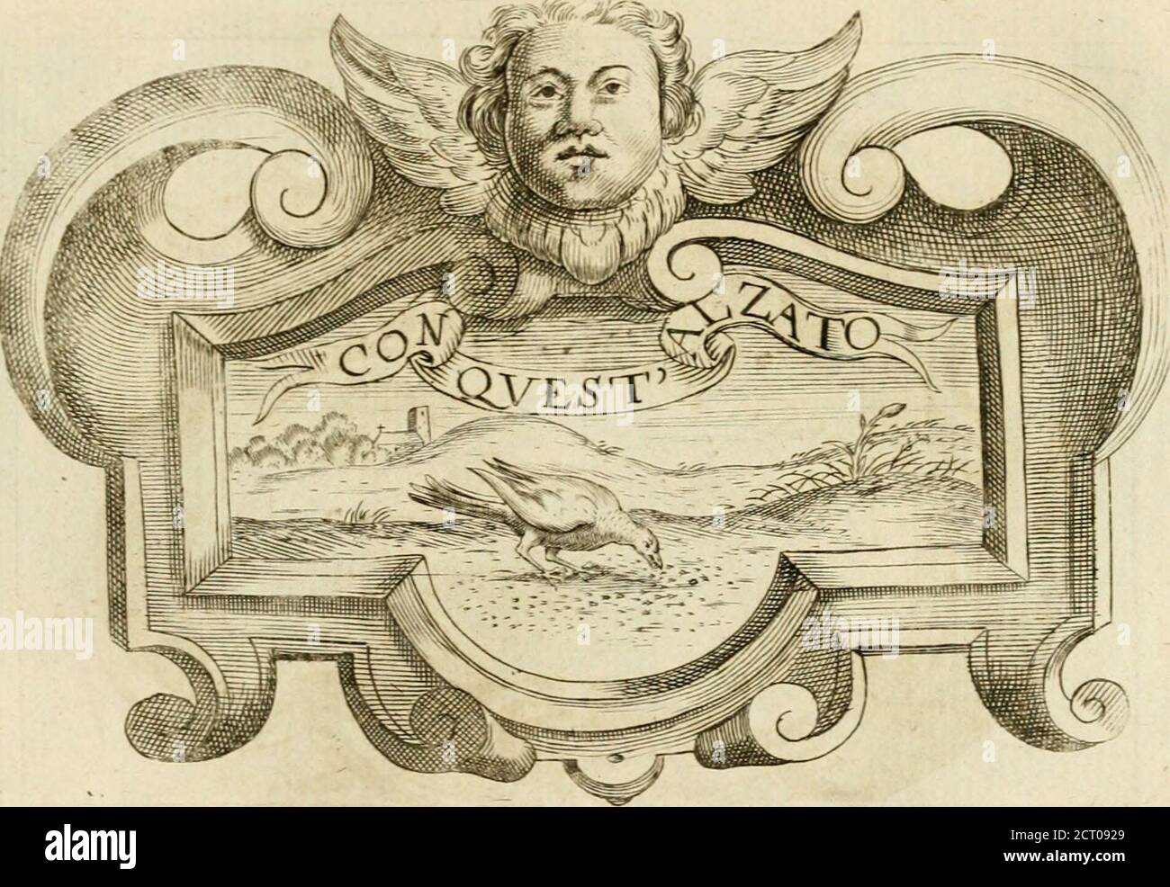 Furfures hi-res stock photography and images - Alamy