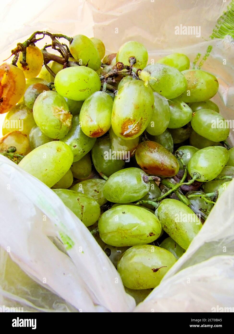 Plastic bag of grapes hi-res stock photography and images - Alamy
