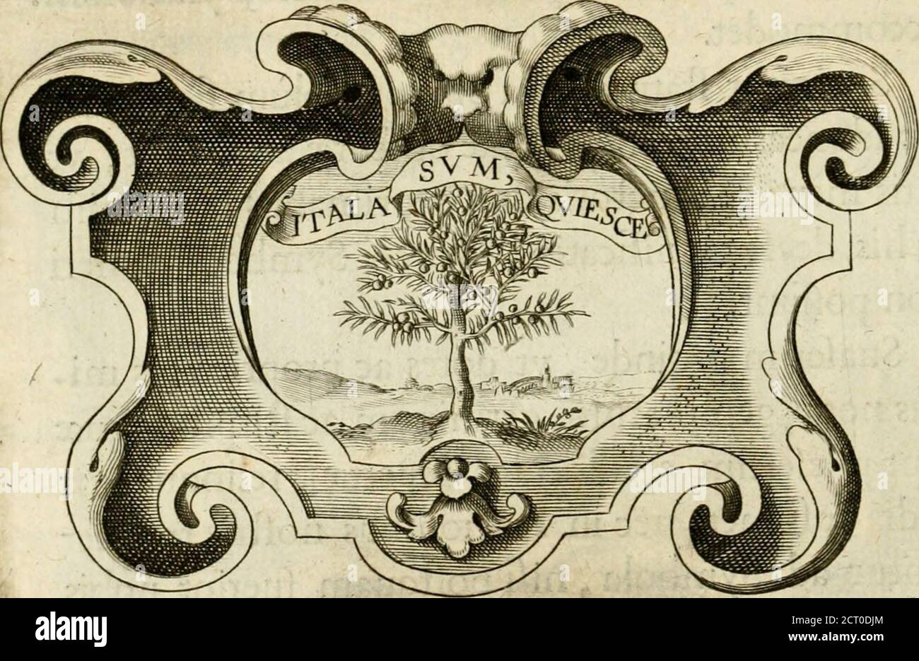 Notse hi-res stock photography and images - Alamy