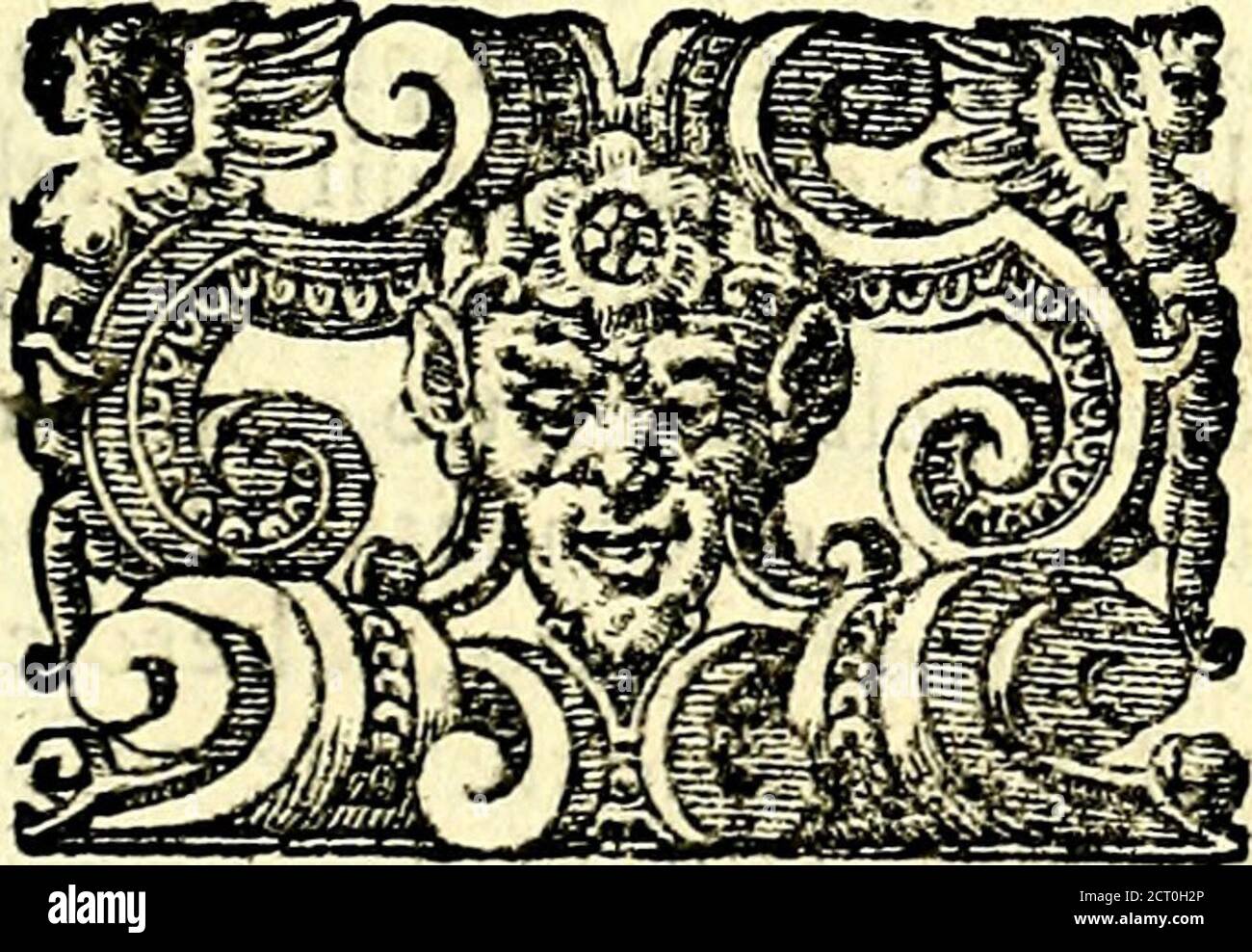 Ricca di rame hi-res stock photography and images - Alamy