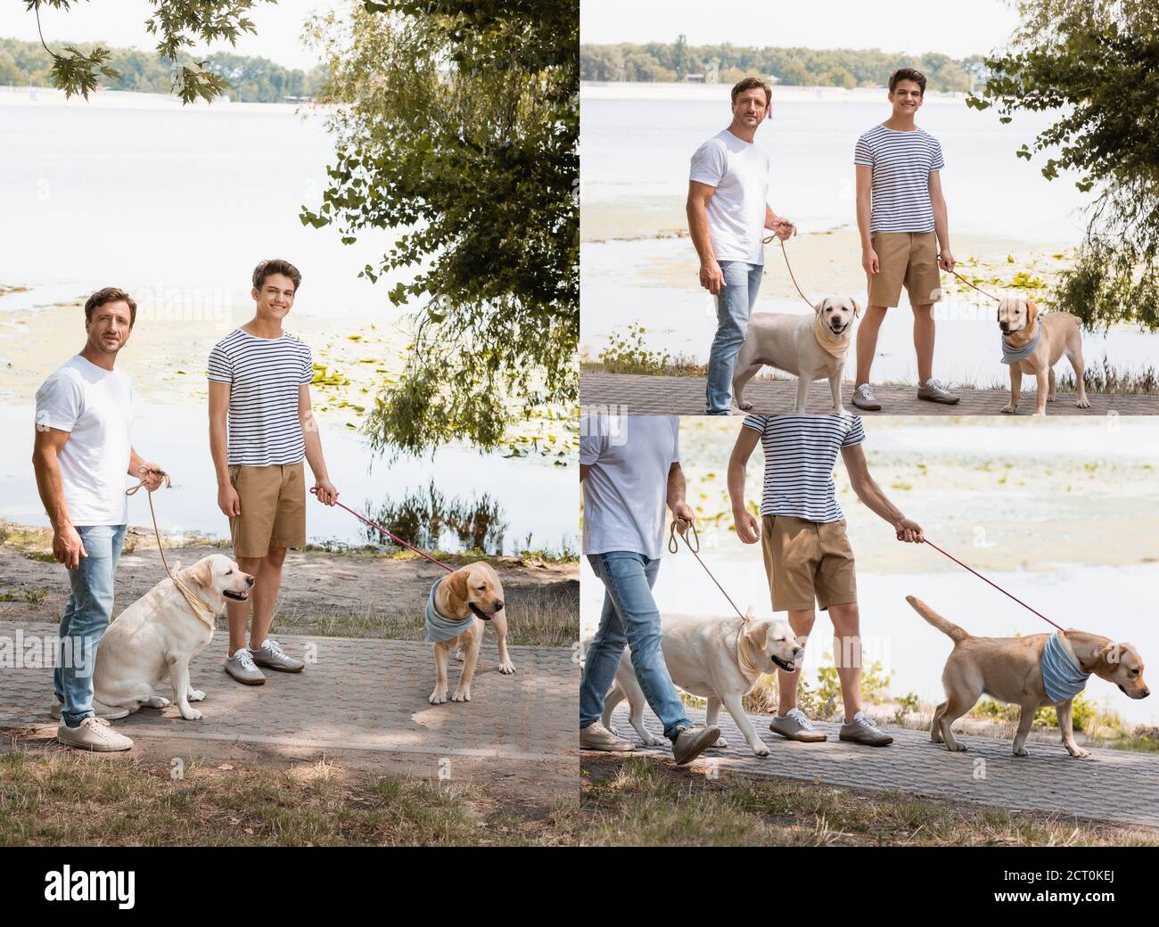 collage of father and son walking with golden retrievers near lake ...