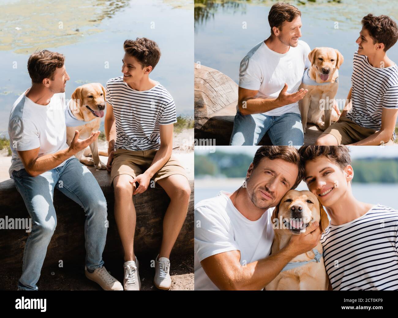 collage of father and son talking near golden retriever and lake Stock ...