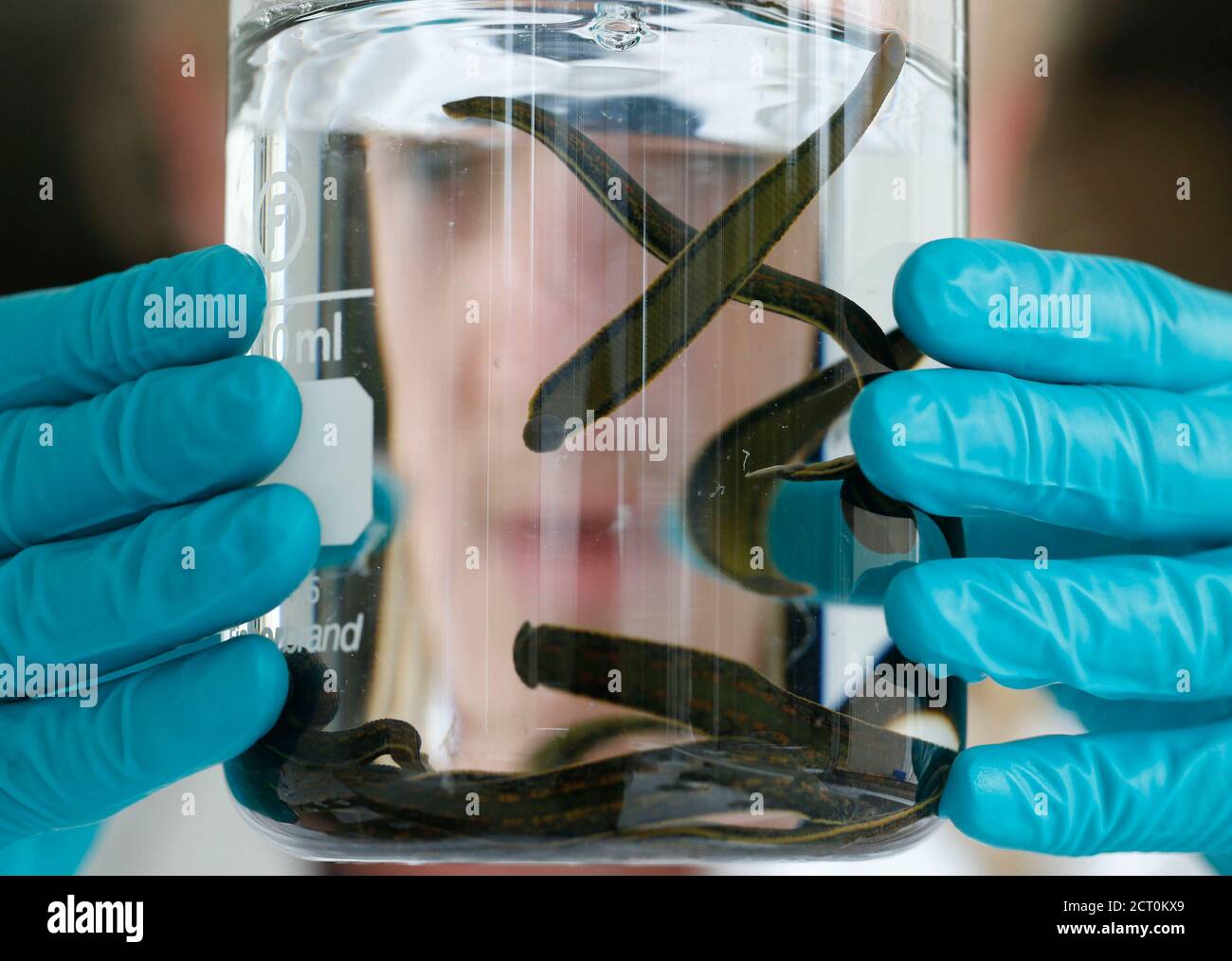 Desuetude hi-res stock photography and images - Alamy