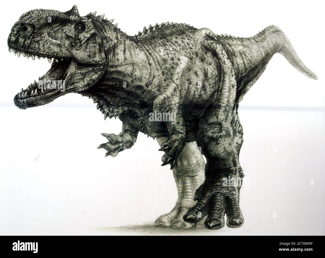 Rajasaurus narmadensis hi-res stock photography and images - Alamy