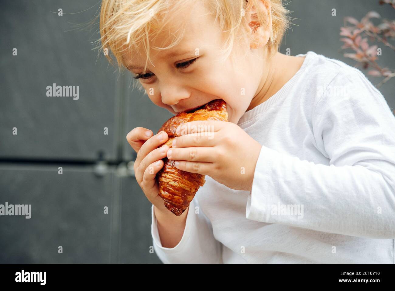 gluttonous little boy with blond hair eating crispy croissant outdoors ...