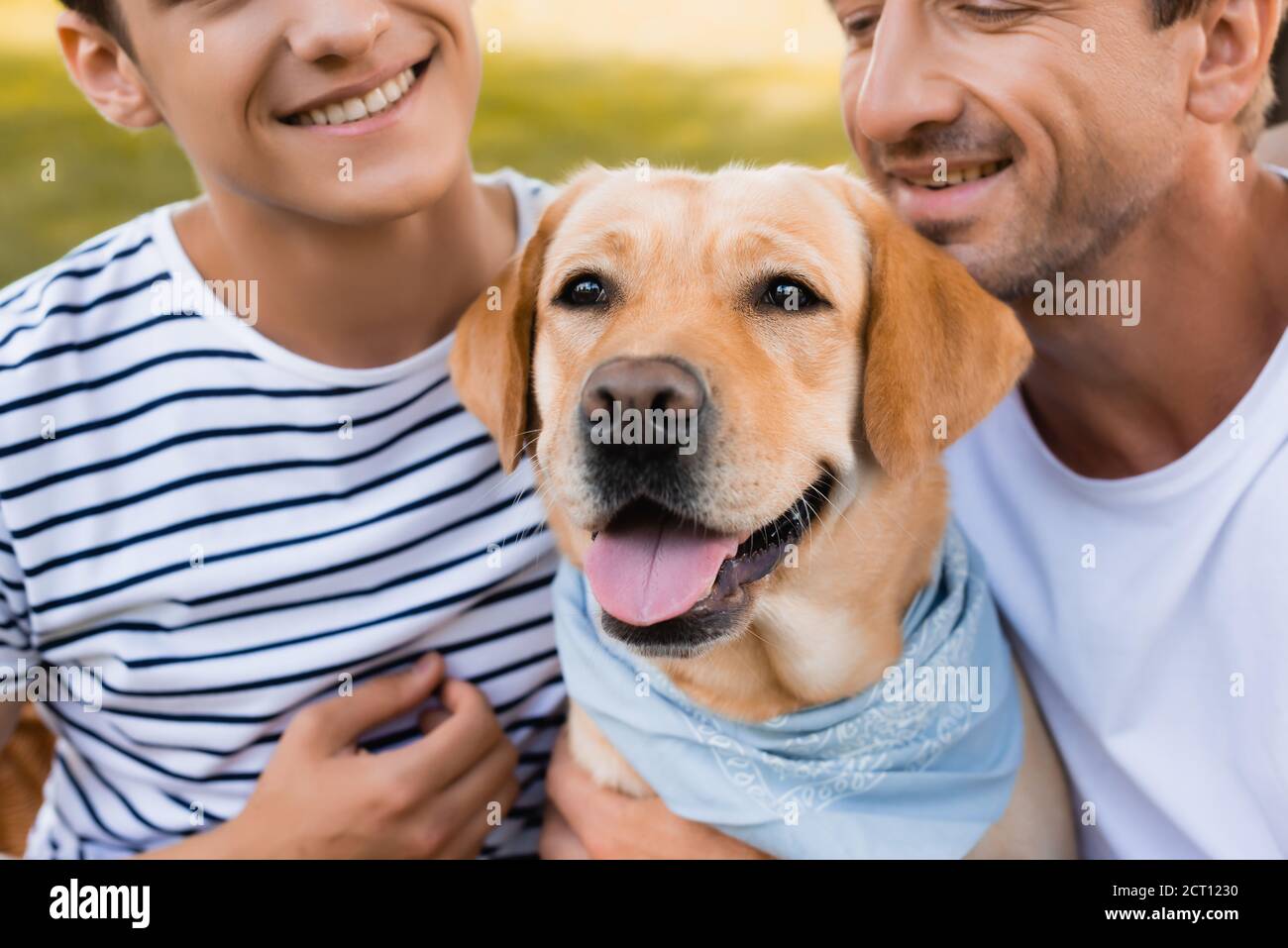 golden retriever near joyful father and teenager son Stock Photo - Alamy