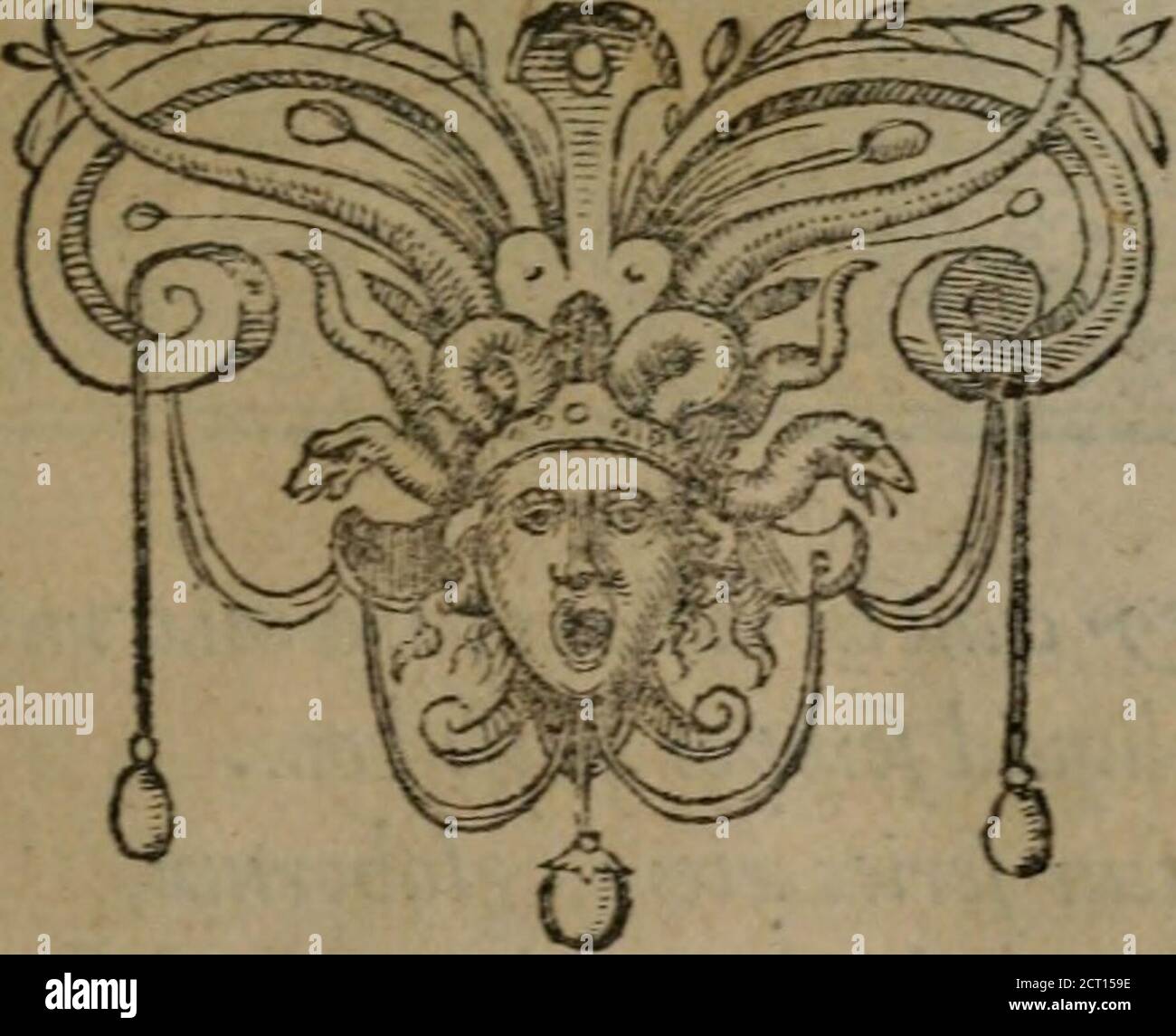 Volupt hi-res stock photography and images - Alamy