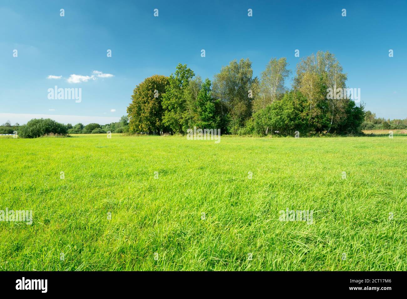 Sky background and green land hi-res stock photography and images - Alamy