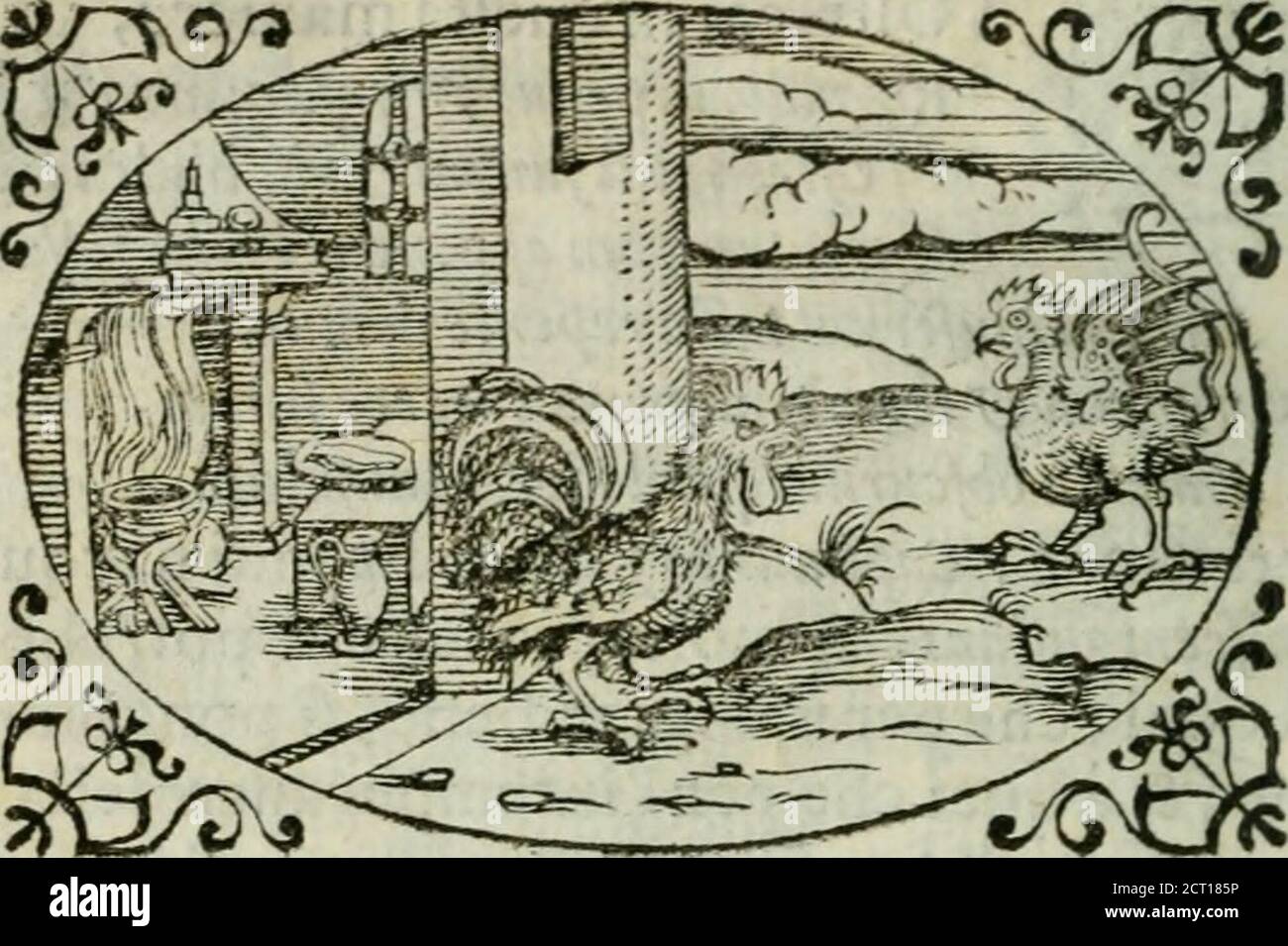 Col mor hi-res stock photography and images - Alamy