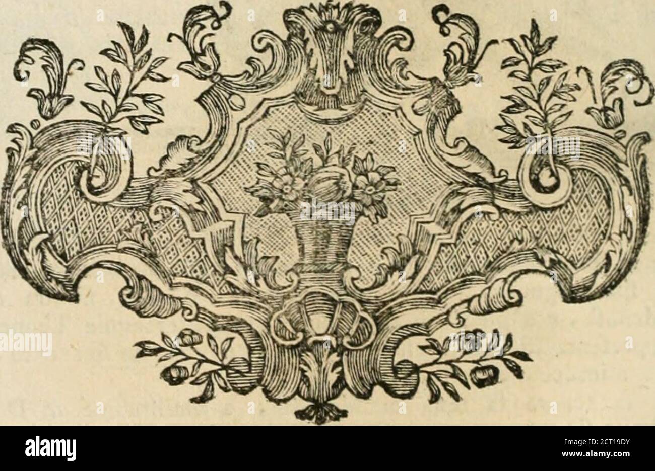 Forza animale hi-res stock photography and images - Alamy