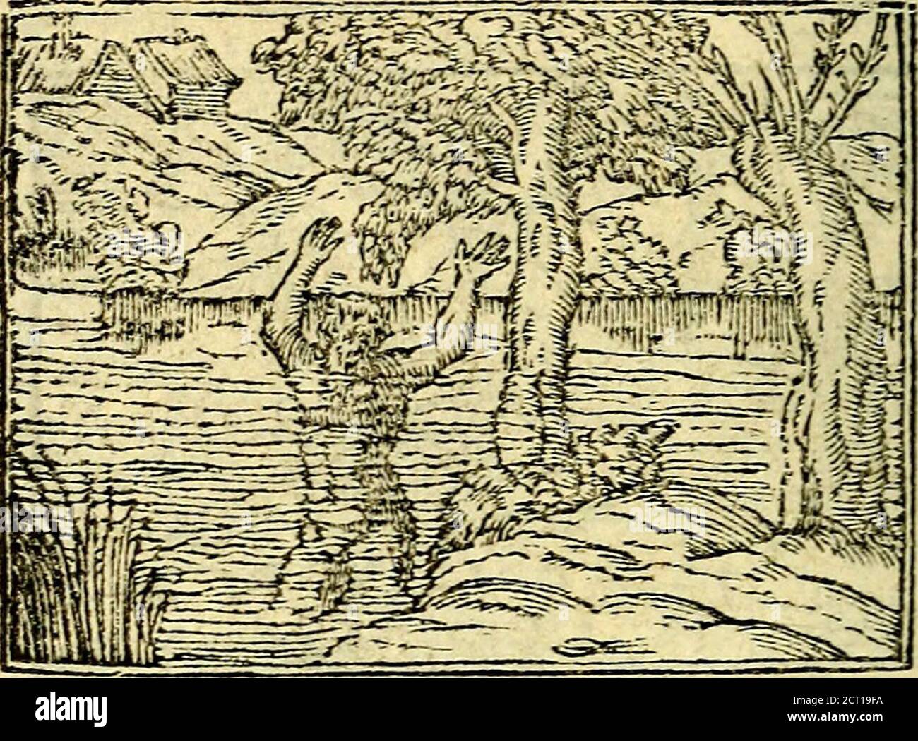 Labris hi-res stock photography and images - Alamy