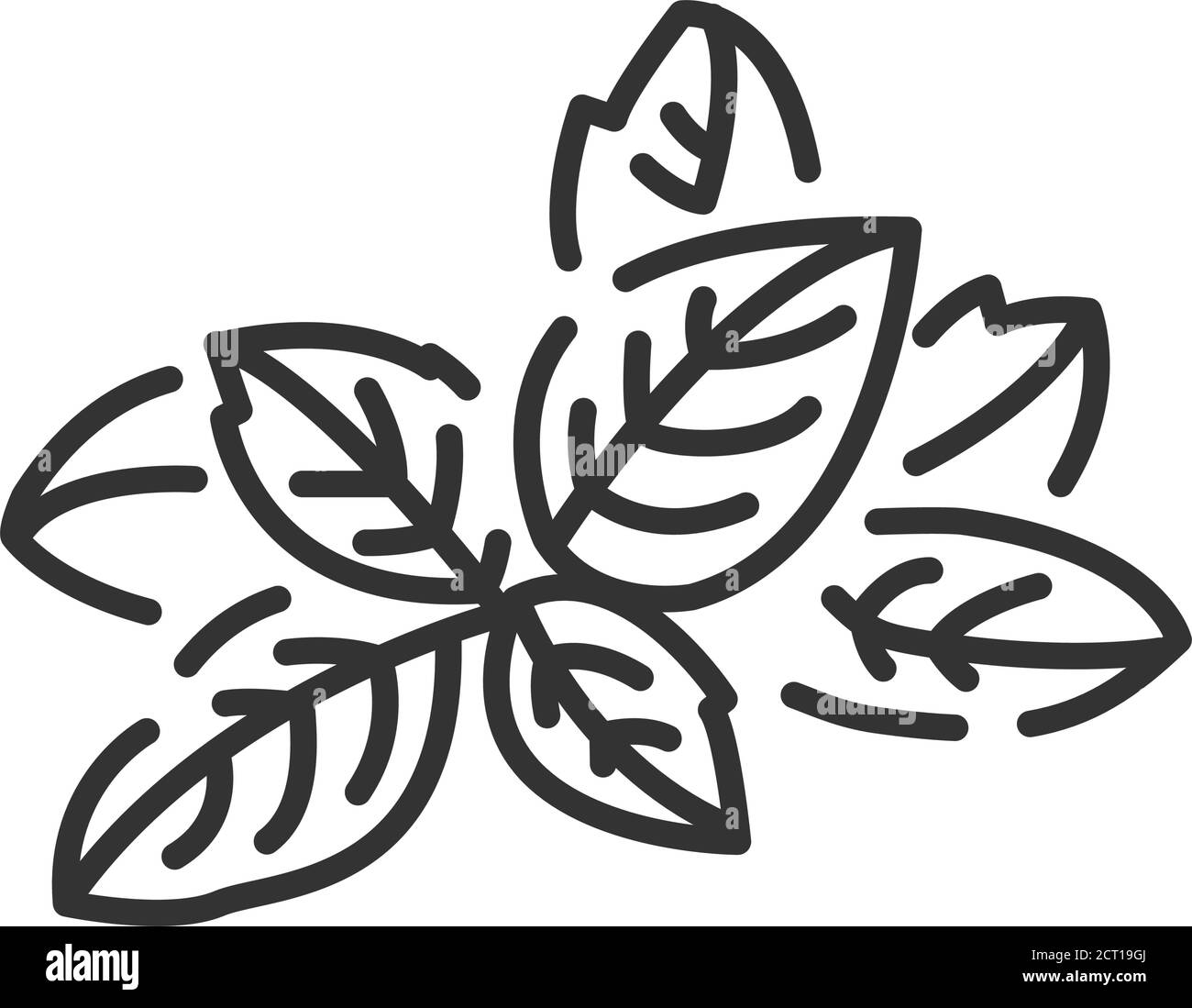 Spicy basil Black and White Stock Photos & Images - Alamy