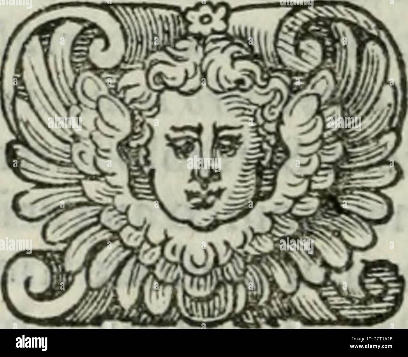 Il simbolo di bacco hi-res stock photography and images - Alamy