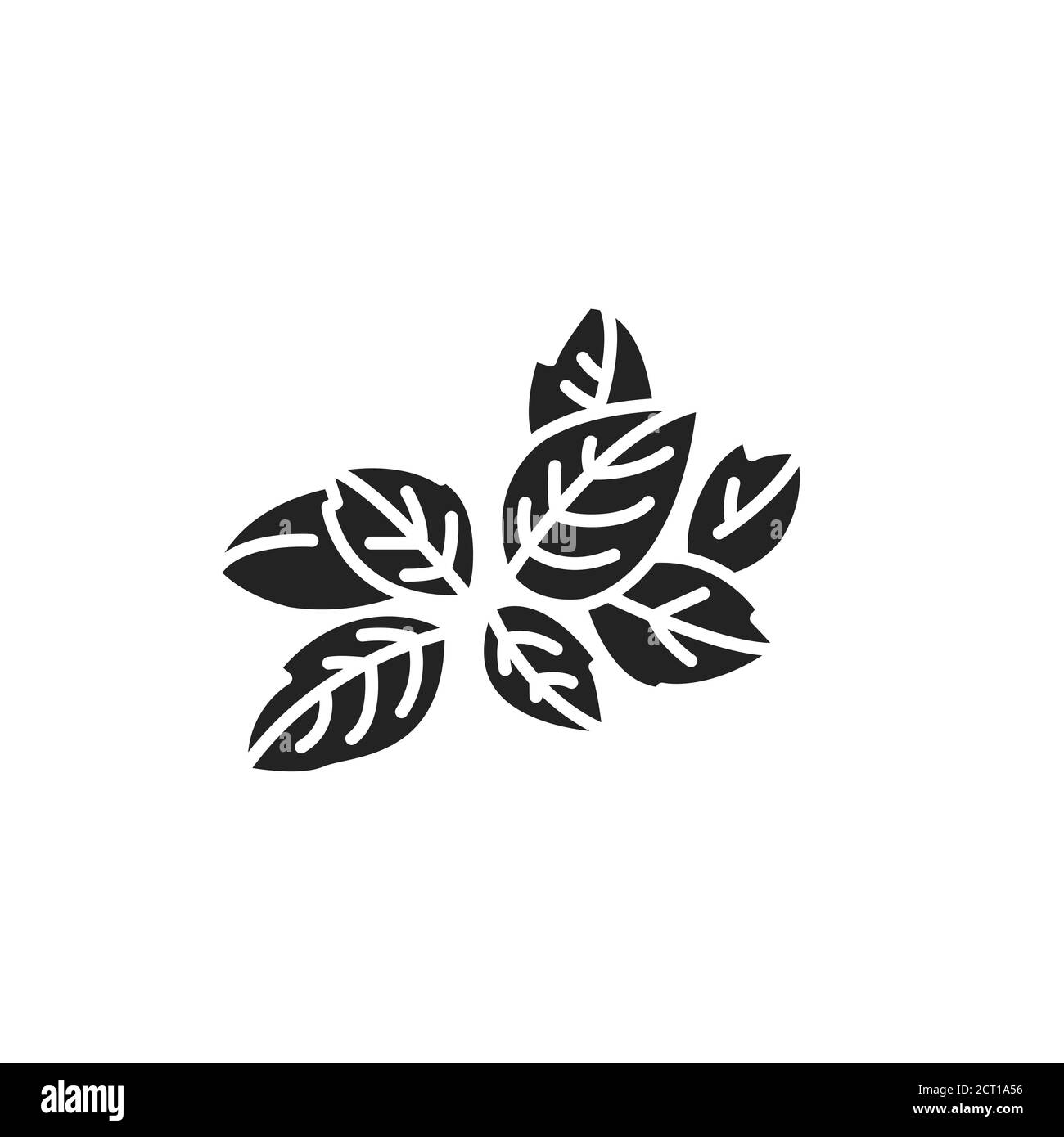 Basil spice Black and White Stock Photos & Images - Alamy