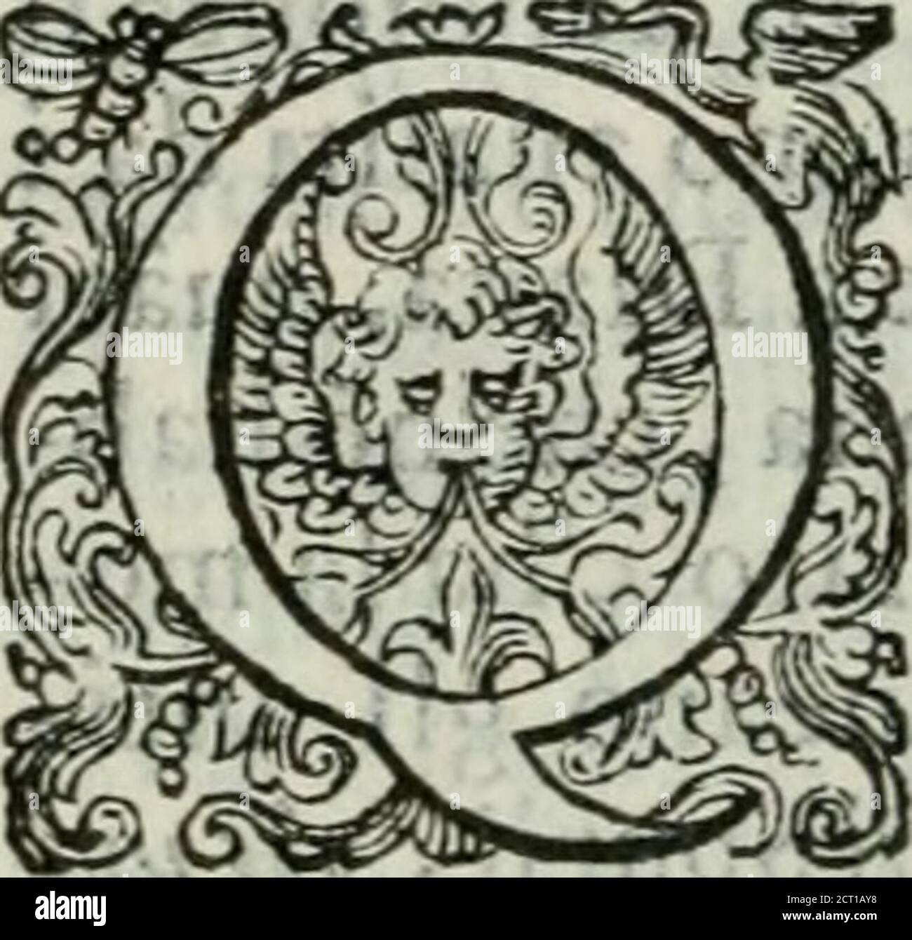 Capra animale hi-res stock photography and images - Alamy