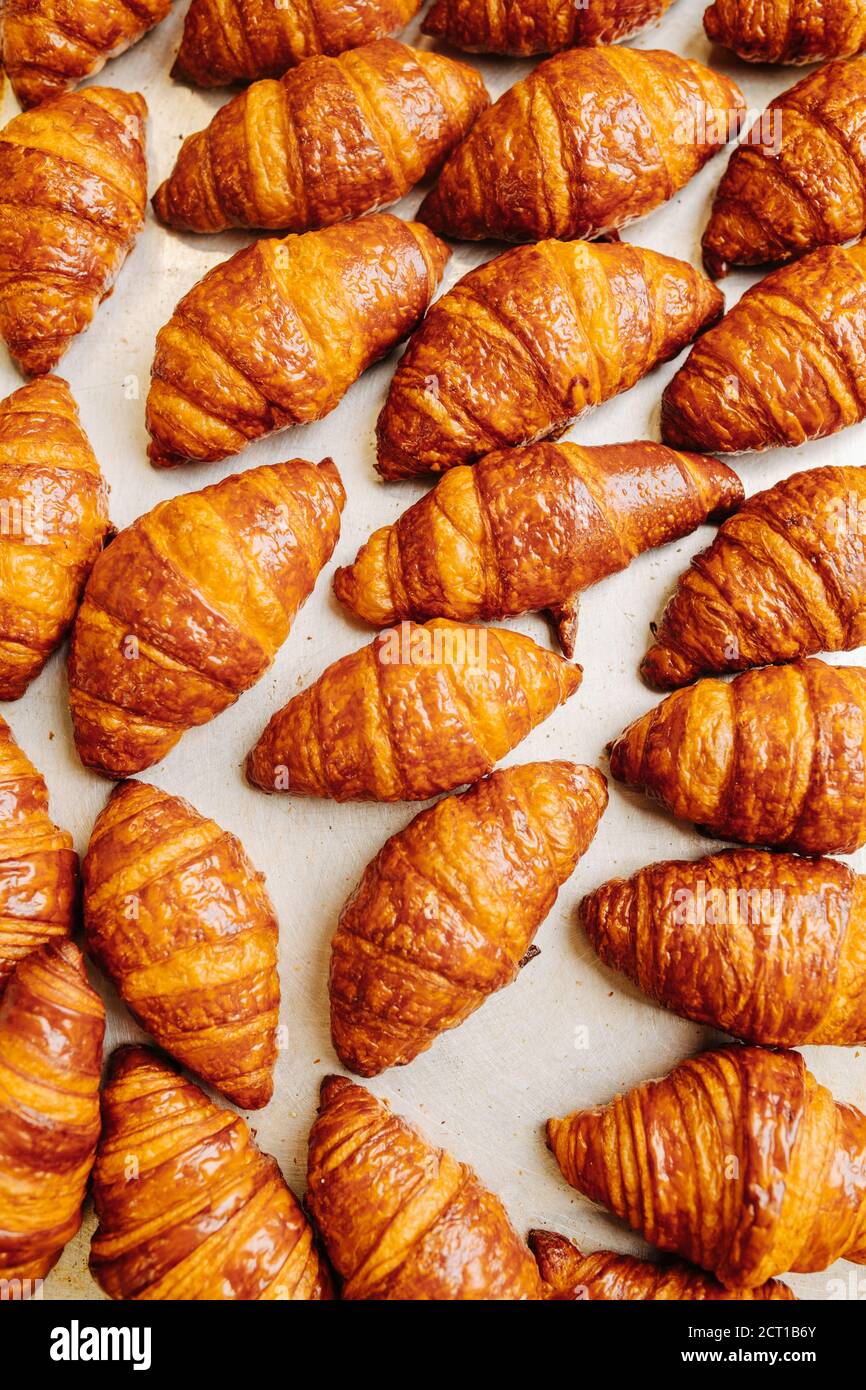 Top view of freshly baked crispy golden croissants cooling on a surface ...