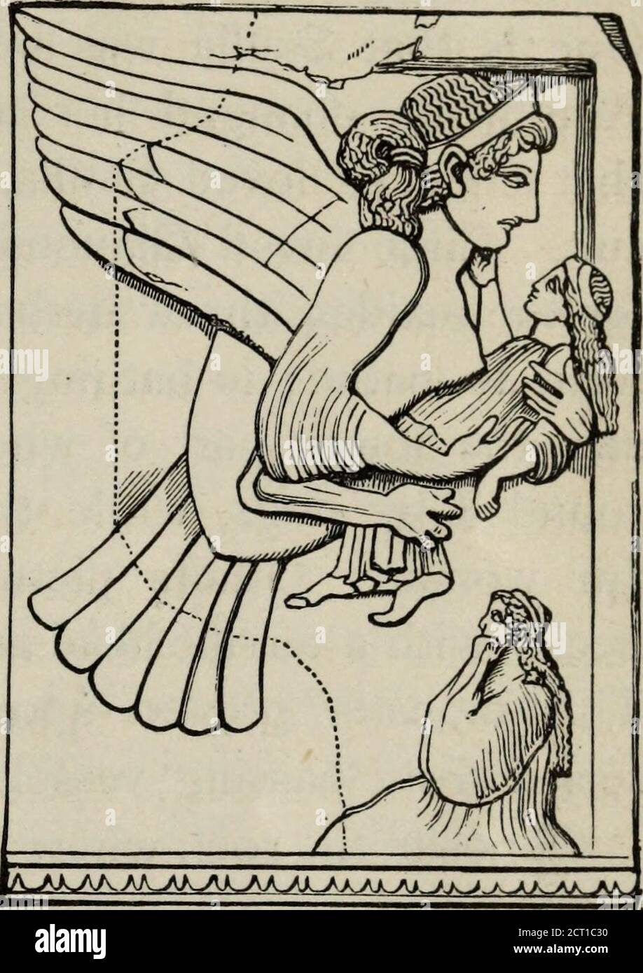 Phorcys hi-res stock photography and images - Alamy