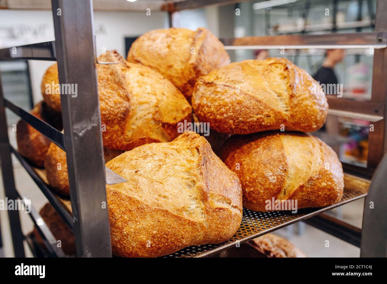 Golden crispy freshly baked bread loafs cooling on a perforated iron ...