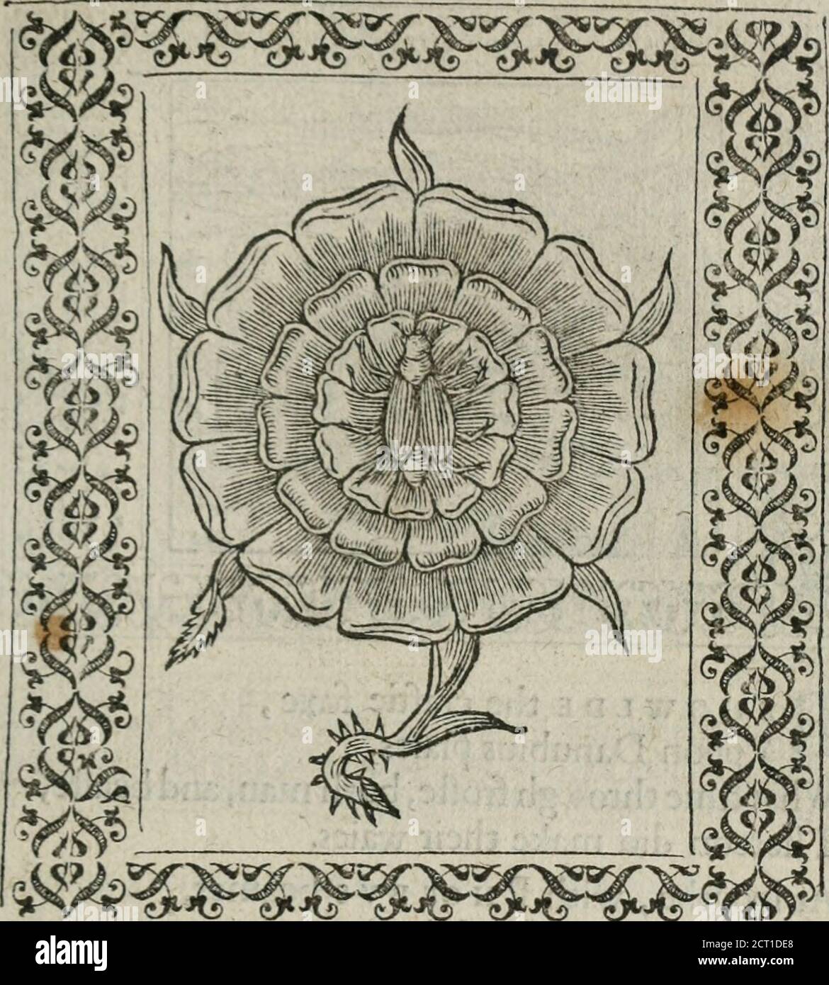 O Ringe High Resolution Stock Photography and Images - Alamy