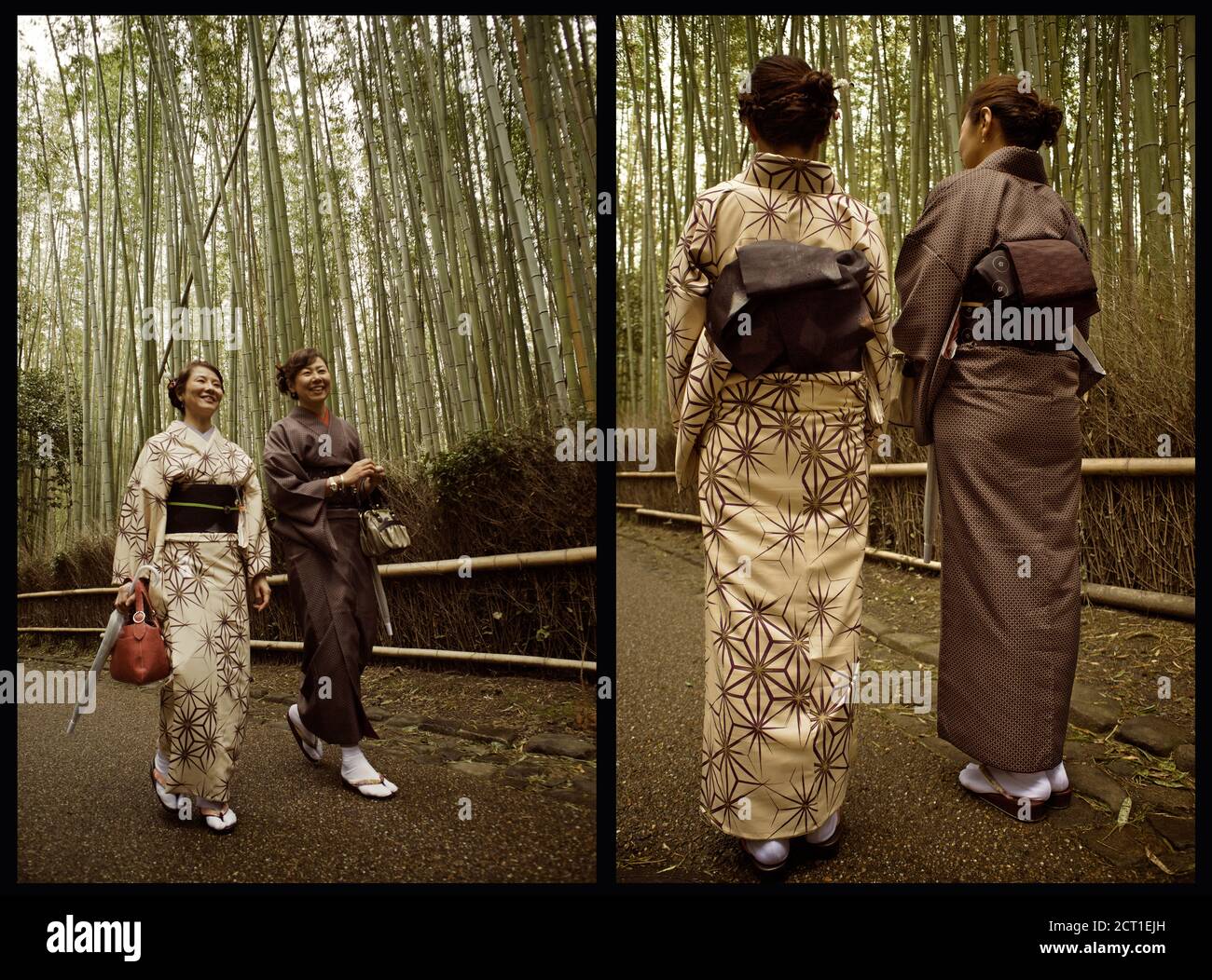 Japanese women wearing traditional kimono and walking along the Sagano Bamboo Forest in ...