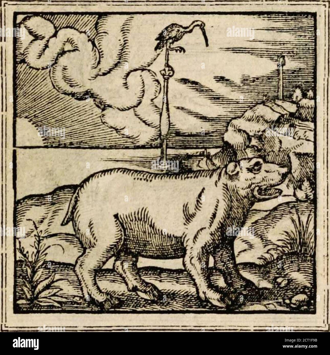 Emblema medici hi-res stock photography and images - Alamy