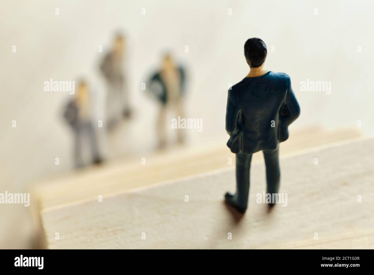 The concept of a leader and a boss in a business company Stock Photo ...