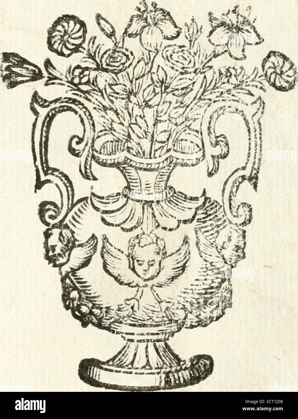 Certant hi-res stock photography and images - Alamy