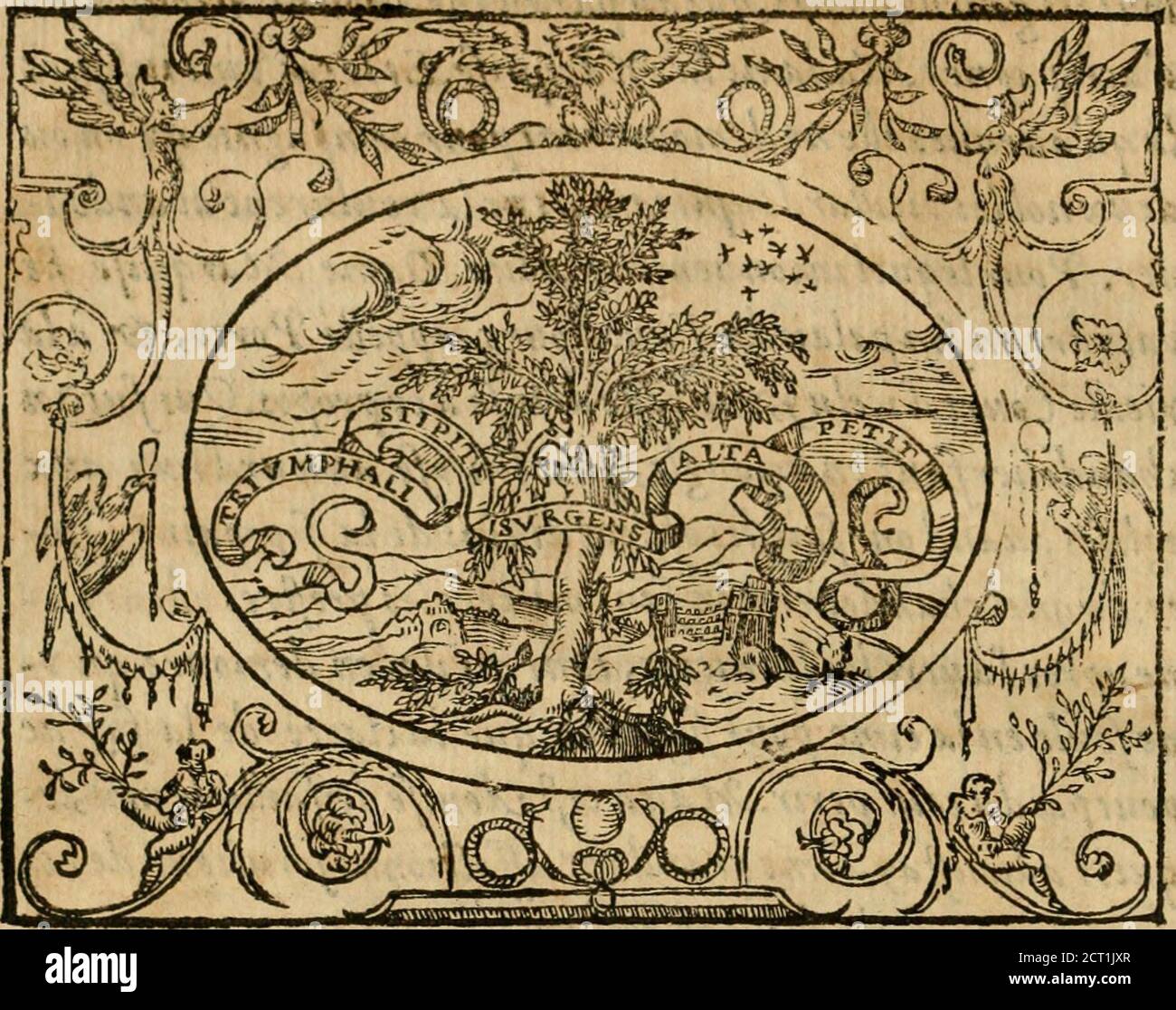 Ncr triangle hi-res stock photography and images - Alamy