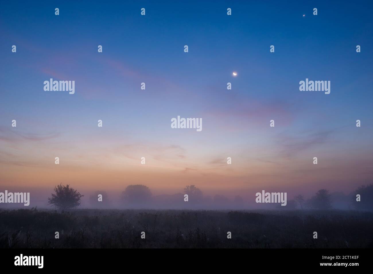 Fairy tale meadow hi-res stock photography and images - Alamy
