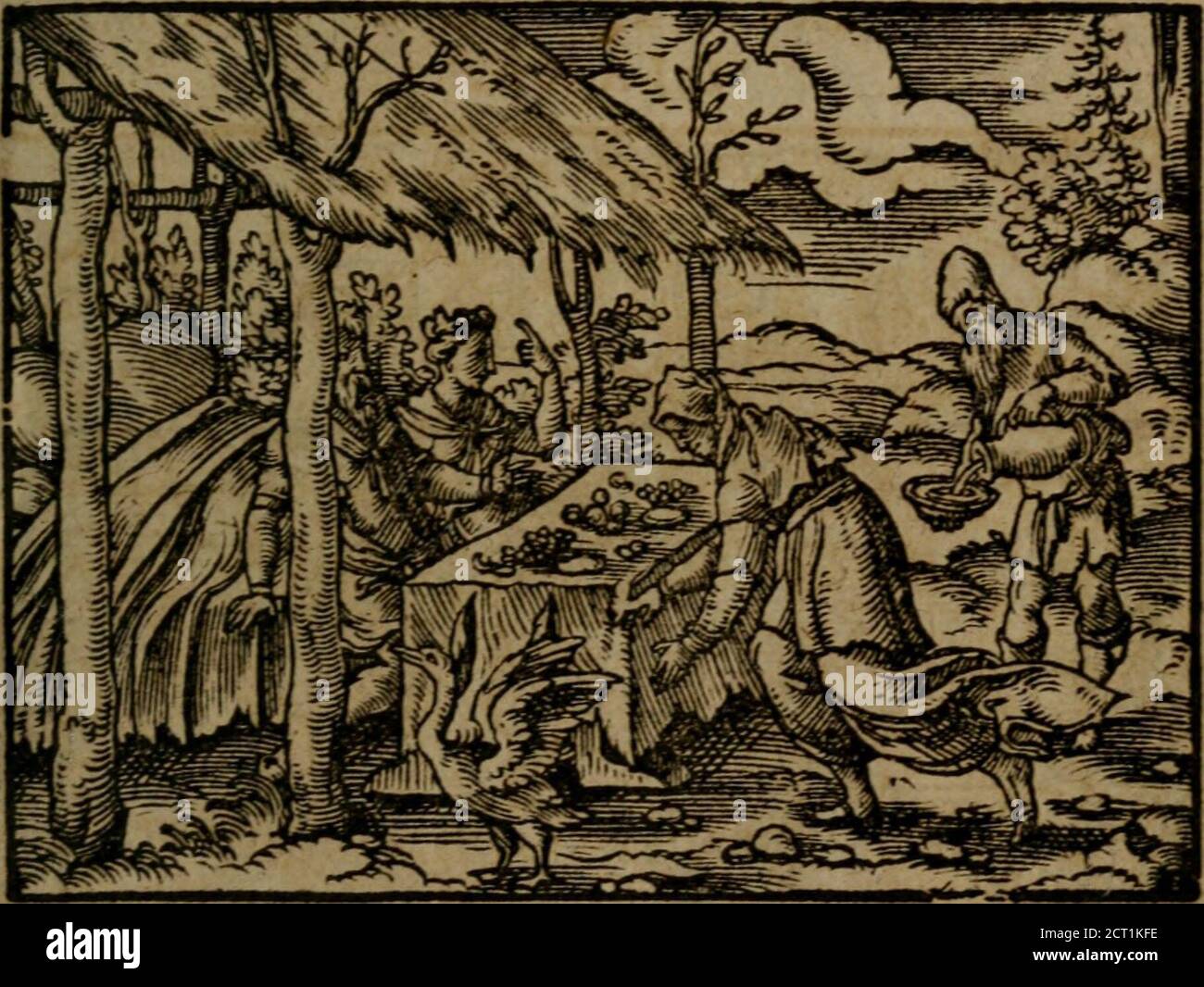 Entent hi-res stock photography and images - Alamy