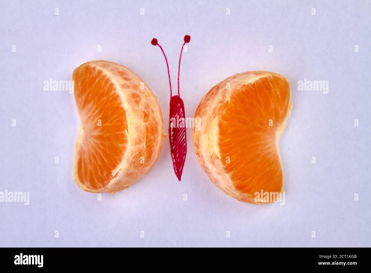Orange slice butterfly hi-res stock photography and images - Alamy