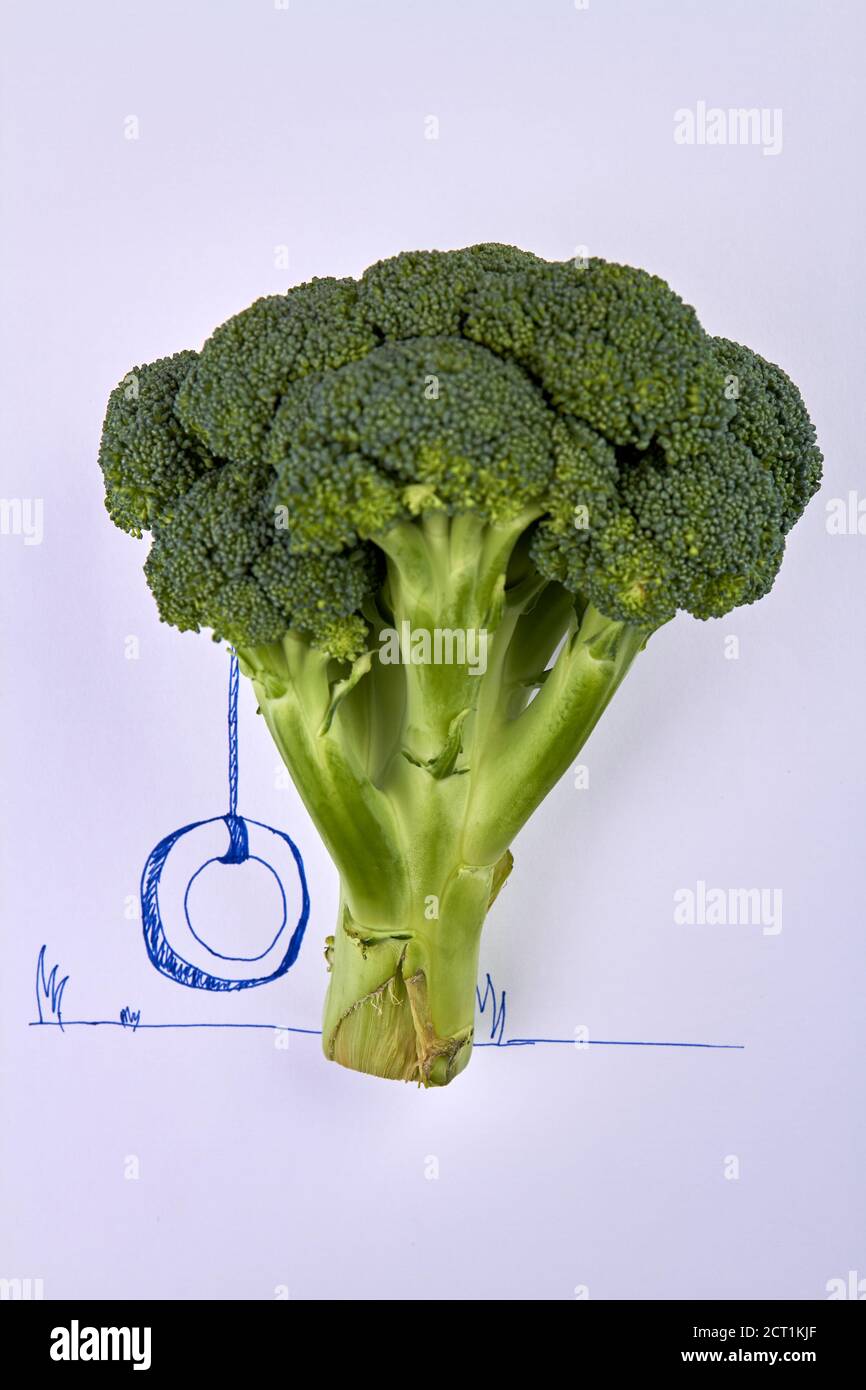 Close up broccoli as a tree Stock Photo - Alamy