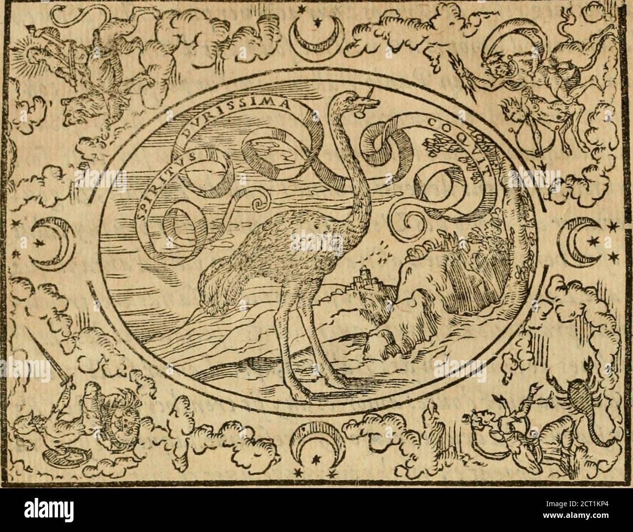 Ballion hi-res stock photography and images - Alamy