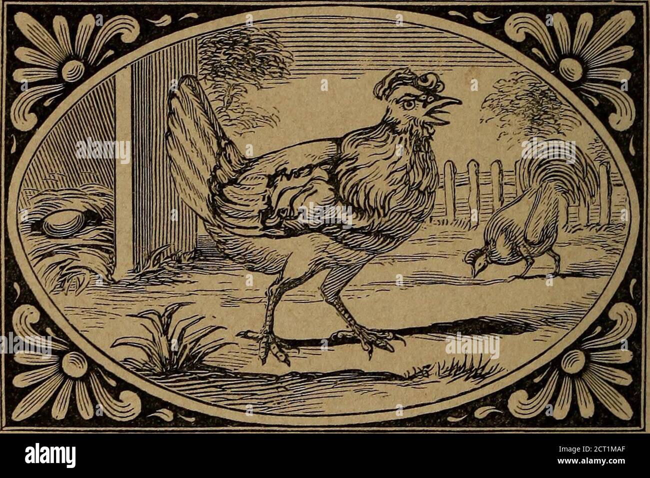 . Divine emblems . s& DIVINE EMBLEMS XLI.ON THE CACKLING OF A HEN Stock ...