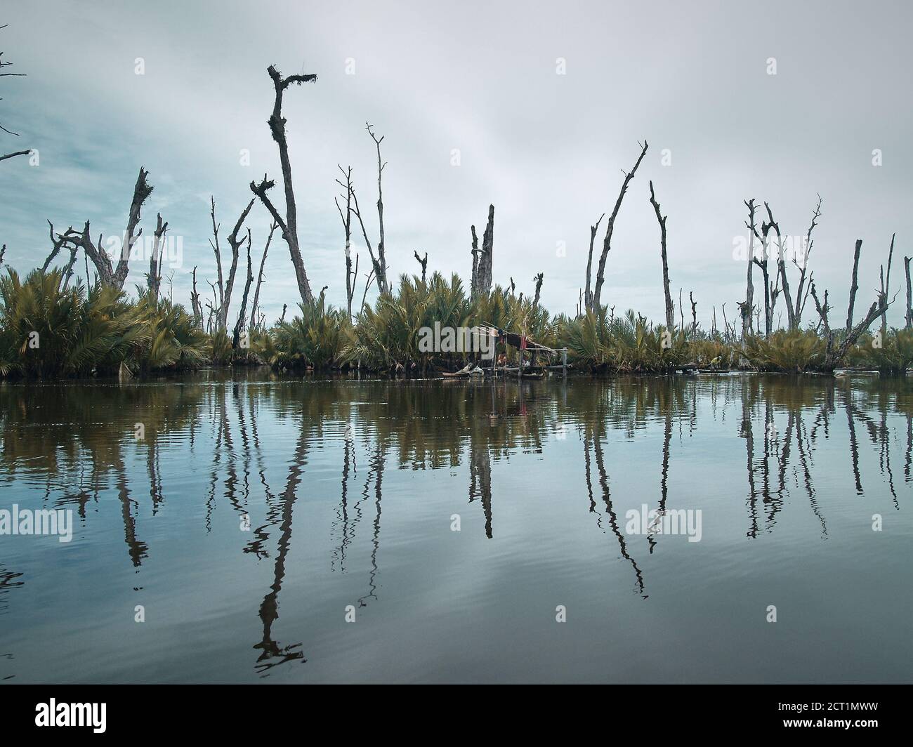Dead trees in water of Death Valley National Park Stock Photo - Alamy