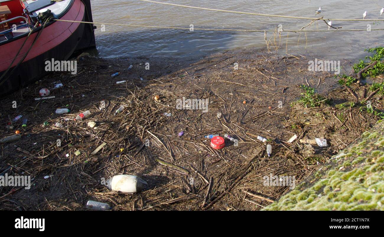 London, England, United Kingdom - 02/21/2020 - Pollution in the river ...
