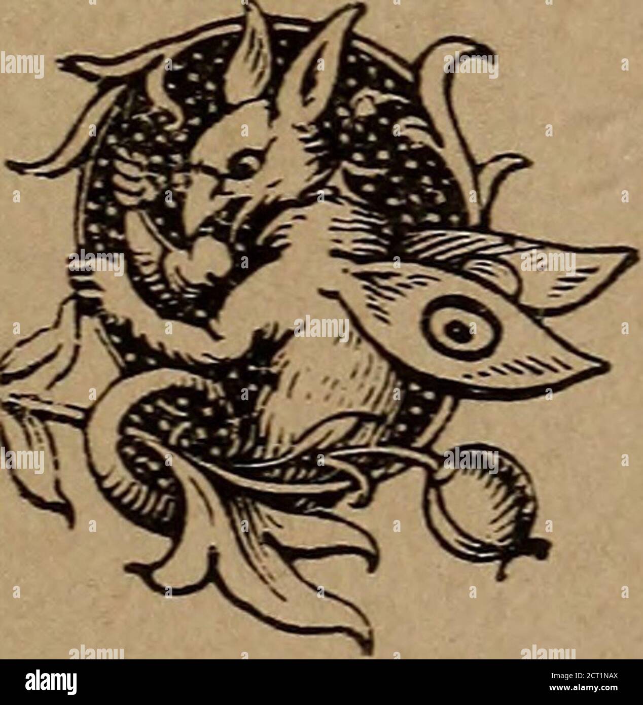 Barren fig tree hi-res stock photography and images - Alamy