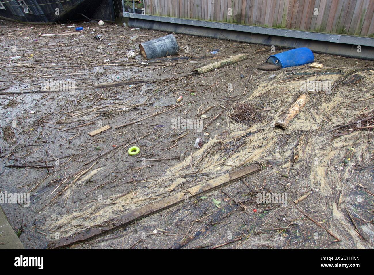 London, England, United Kingdom - 02/21/2020 - Pollution in the river ...