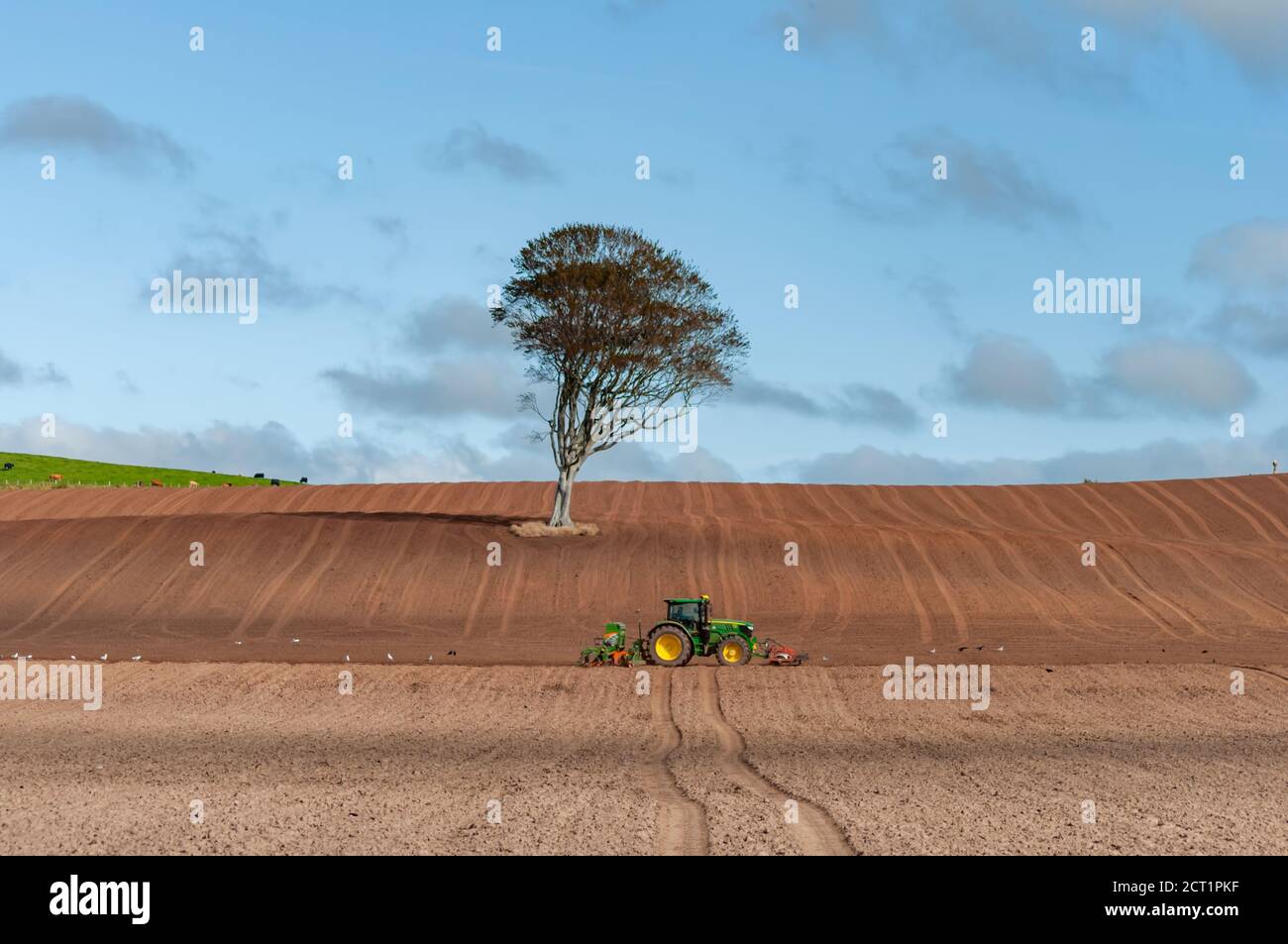Tractor ploughing coastal farming hi-res stock photography and images ...