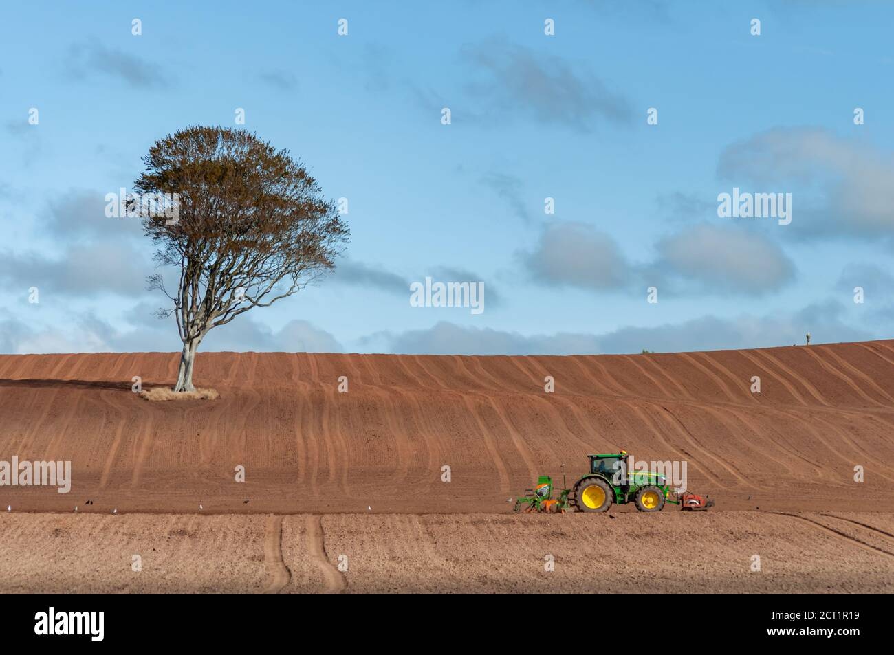 West Kilbride, Scotland, UK. 20th September 2020. A farmer ploughs a ...