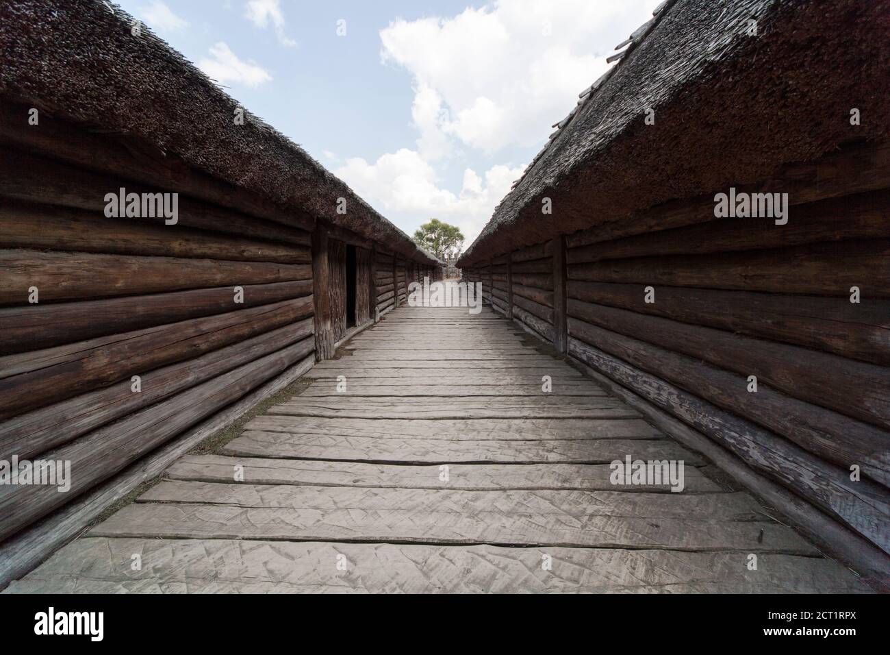 Biskupin archaeological site in Poland Stock Photo - Alamy