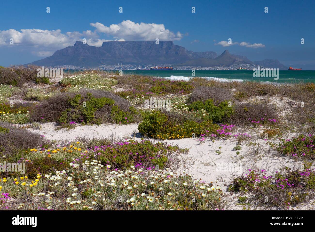 Breaking wave bloubergstrand hi-res stock photography and images - Alamy