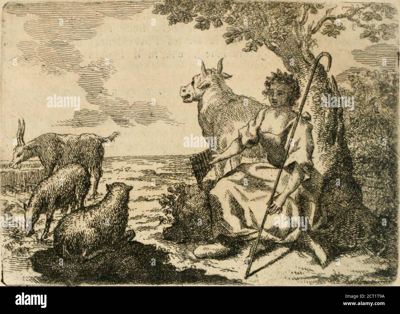 Effetti educazione hi-res stock photography and images - Alamy