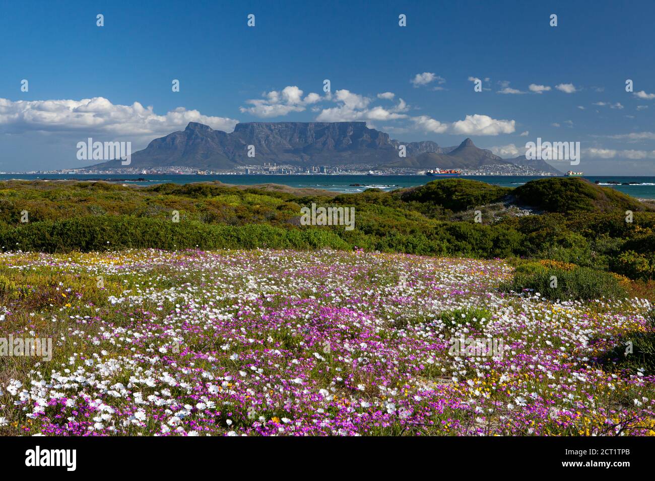 postcard view of table mountain cape town south africa with colourful ...