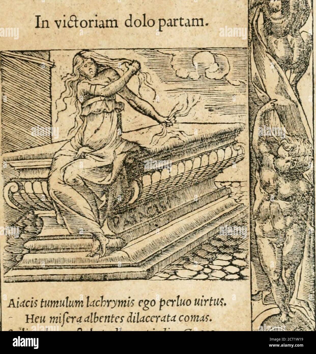 Vitia hi-res stock photography and images - Alamy