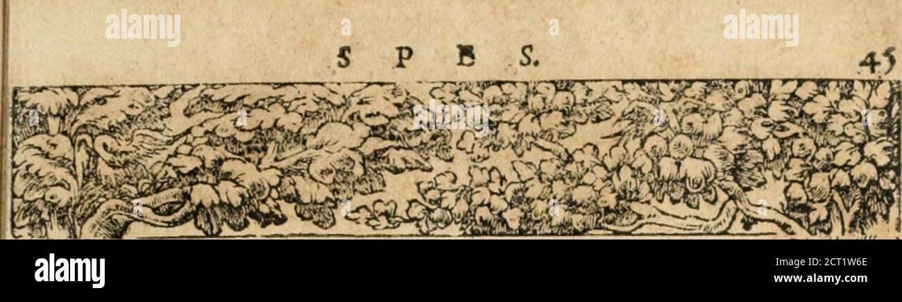 Clarissimi hi-res stock photography and images - Alamy