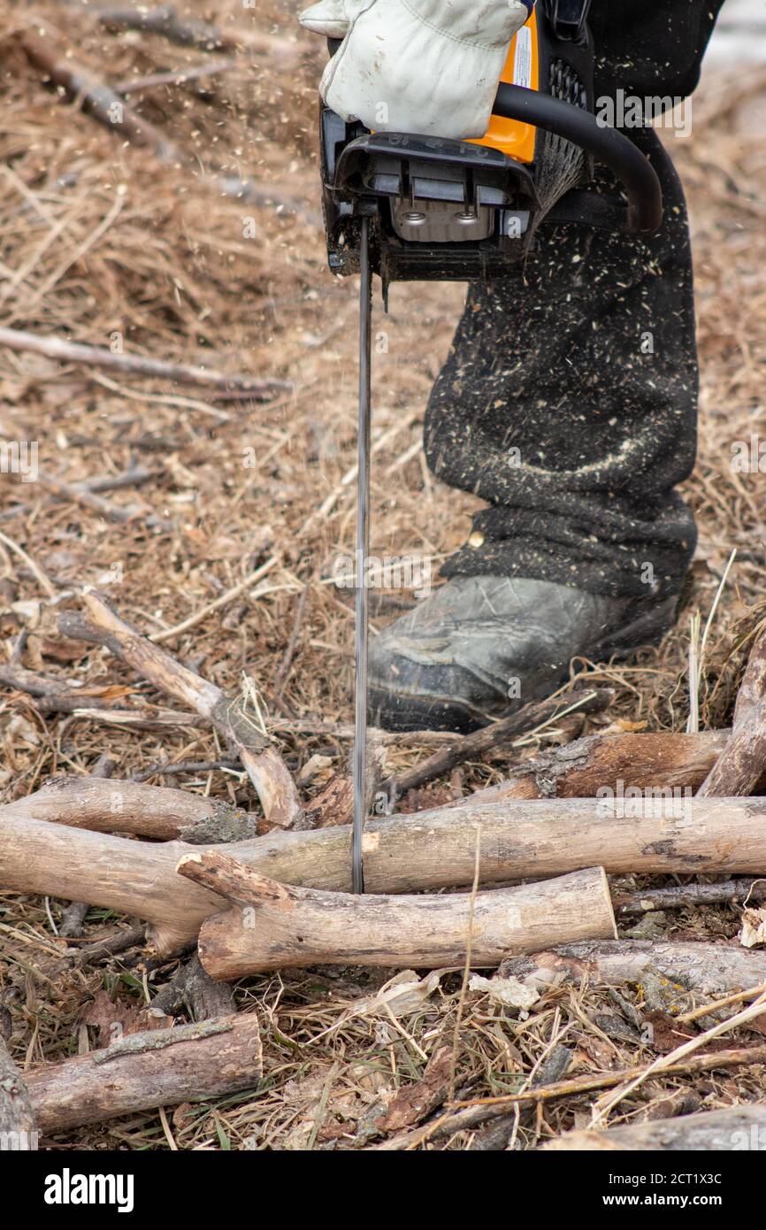 Vertical shot of a man cutting wood with a saw Stock Photo - Alamy
