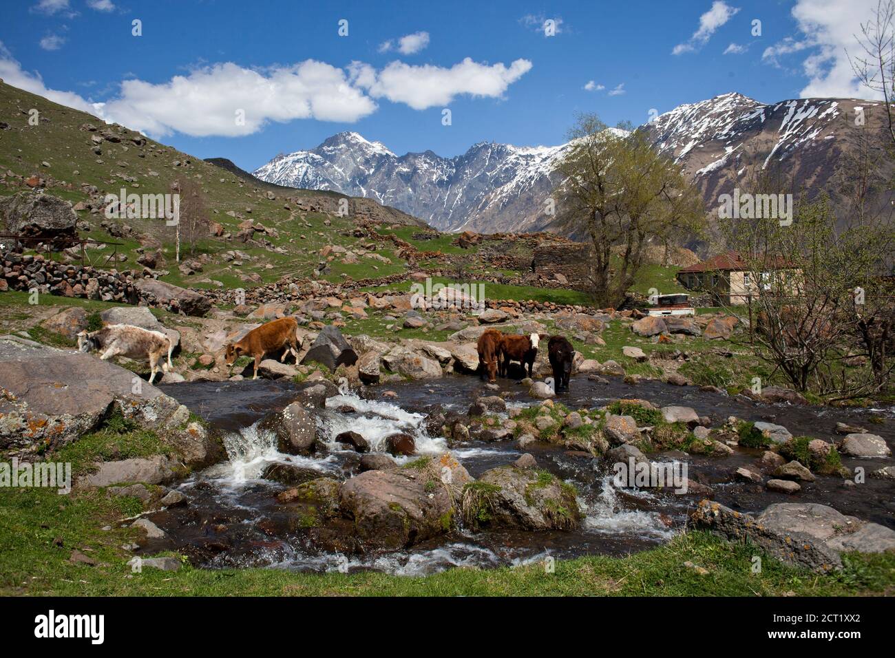 Rural mountain view in Georgia Stock Photo - Alamy