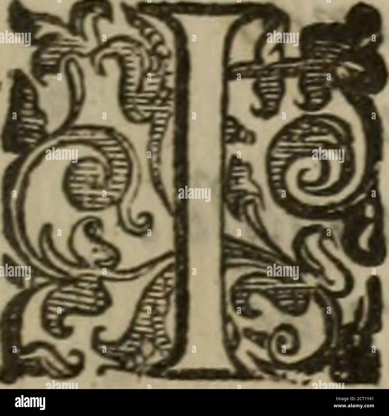 Rami con filo hi-res stock photography and images - Alamy